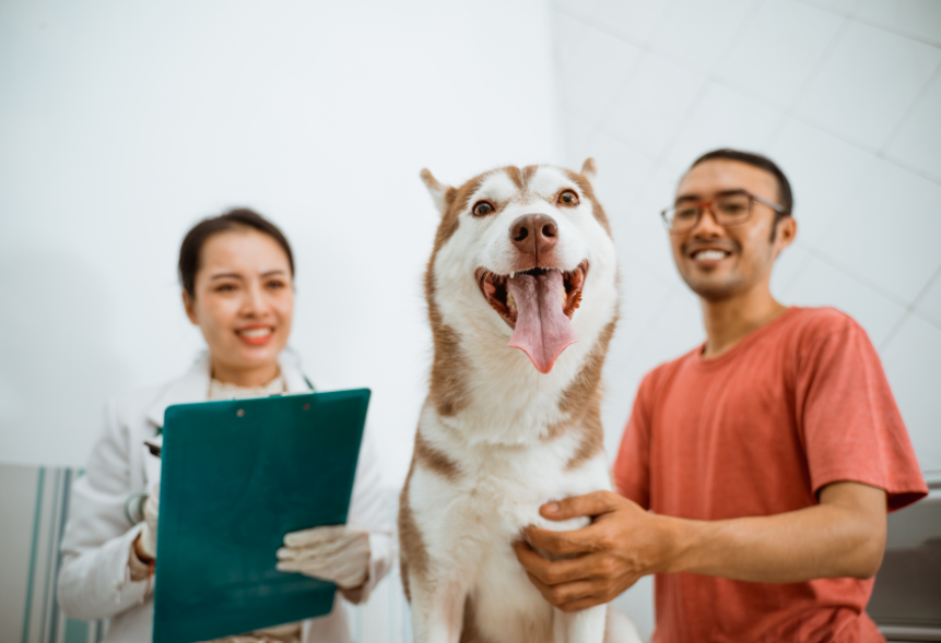 How to Choose the Right Pet Insurance Policy for Different Types of Pe ...