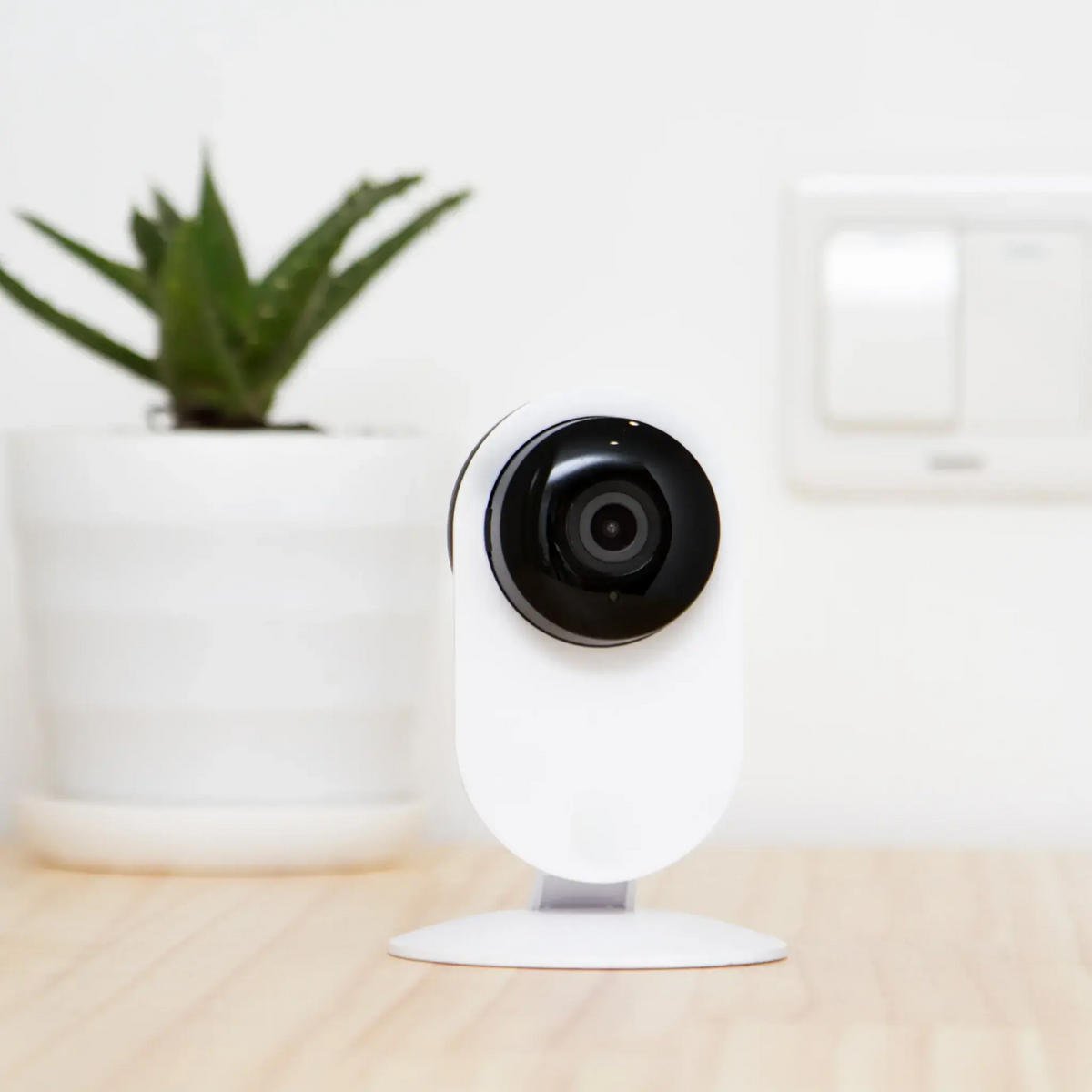 Waggle's Pet Wi-Fi Camera – Waggle Merch